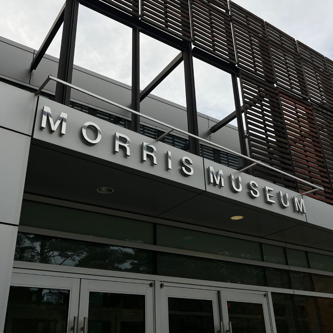 A Trip to New Jersey’s 2nd Largest Museum: Morris Museum - Montclair Girl