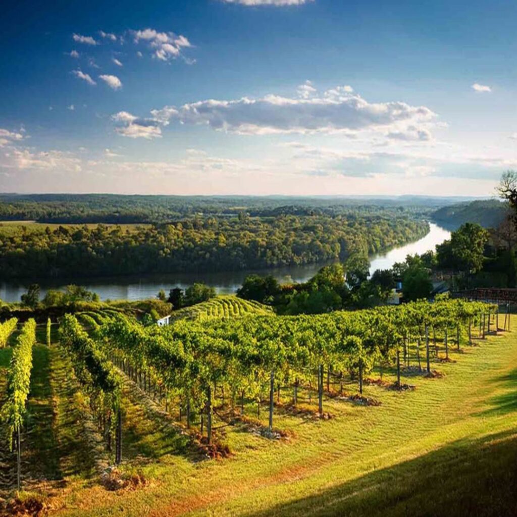 All Aboard the Wine Train: A Scenic Tour Through Northwest NJ ...