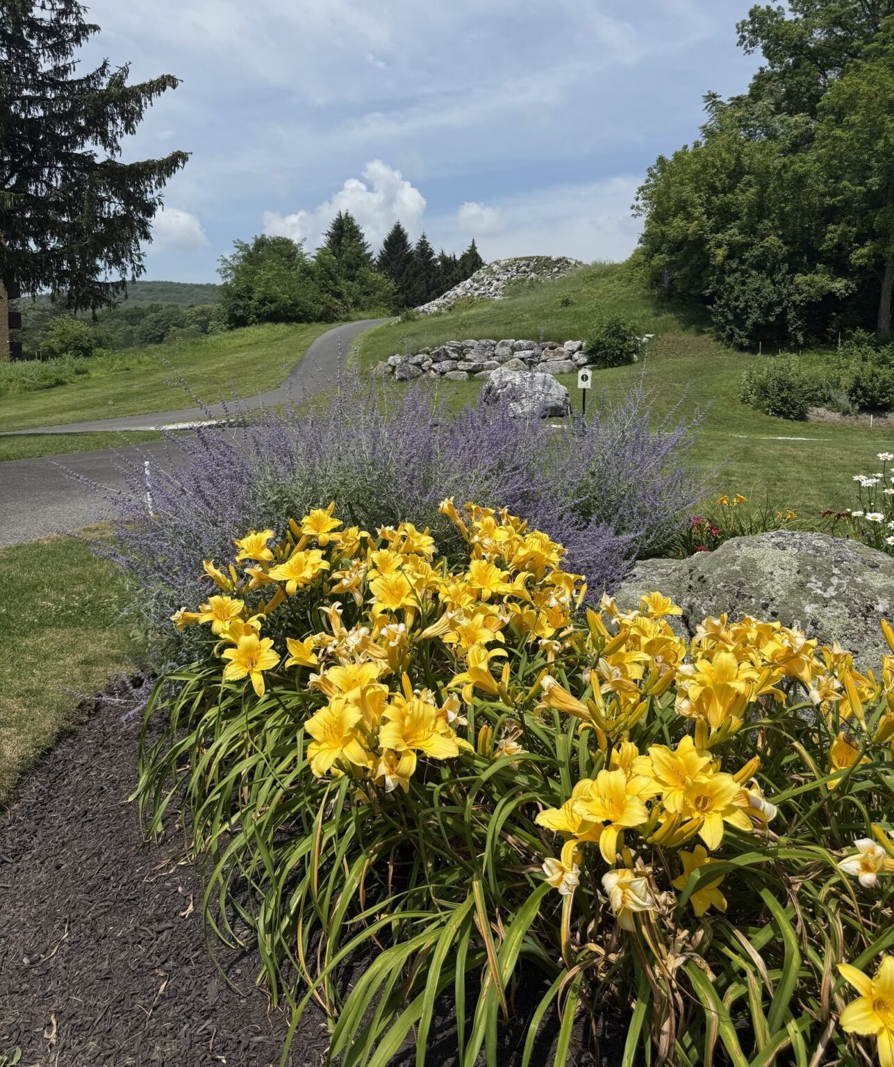 New Jersey’s First Park Golf Course Arrives in Vernon - Montclair Girl