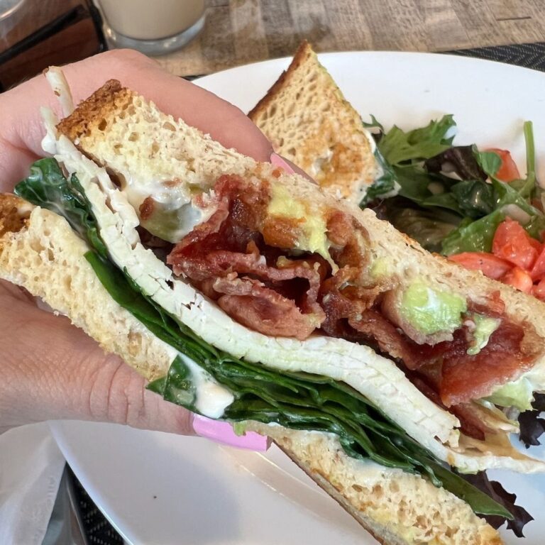 A Day Trip Guide to Lake Mohawk in Sparta - Montclair Girl