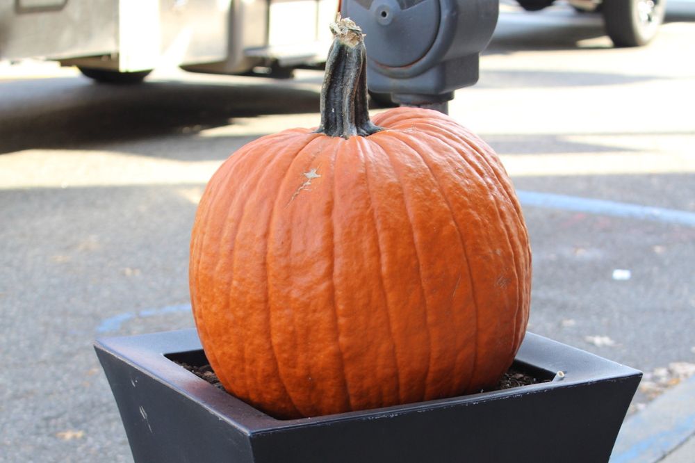 81 Events in the Montclair + Northern NJ Area This Weekend | October 9 ...